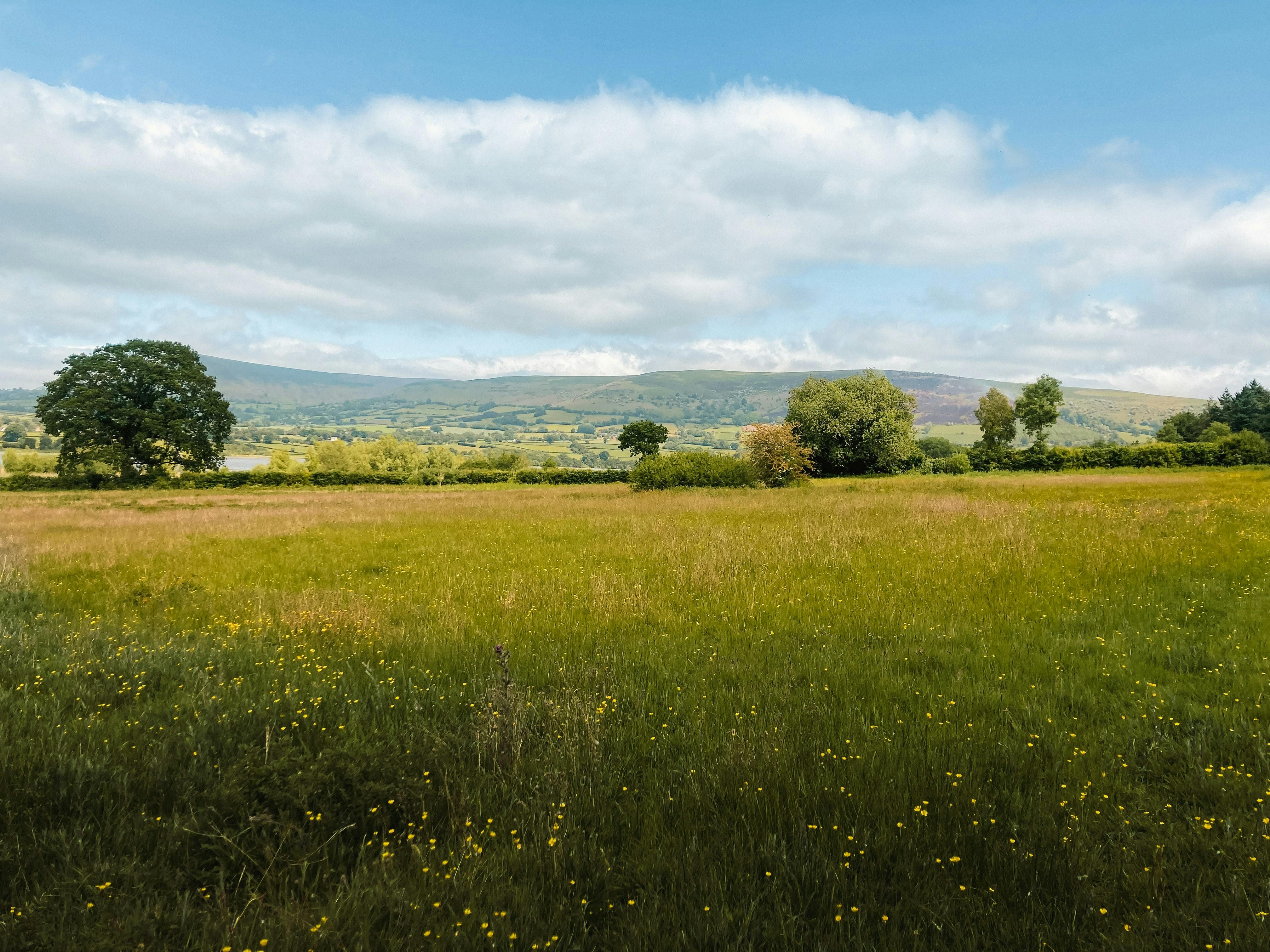 Land at Caeau Ty Mawr, Llangasty, Brecon | Cooke & Arkwright