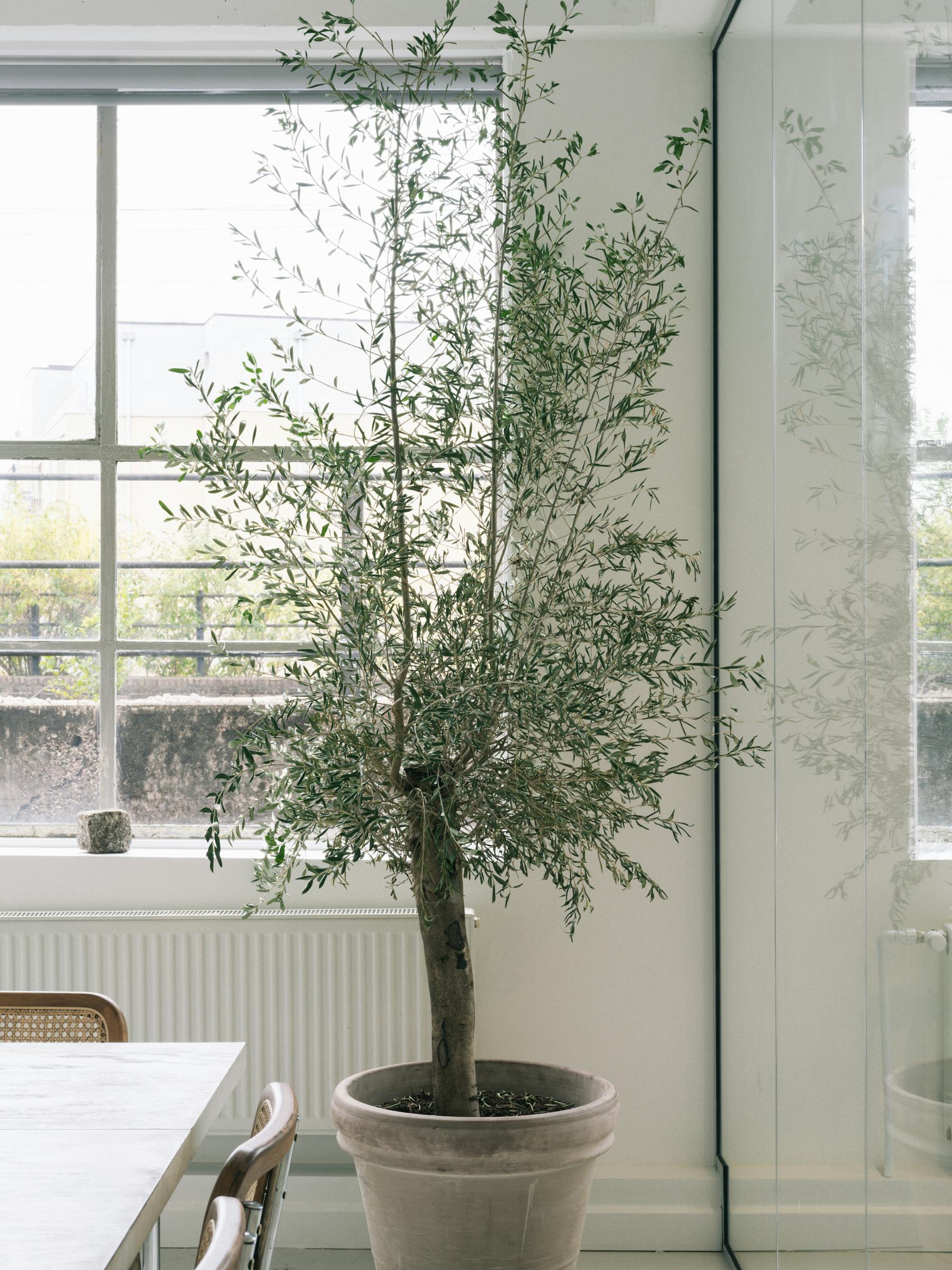 Netil House, London, Offices / Serviced Offices, To Let - Stirling Ackroyd